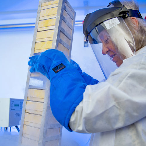 Skin Malignancy Research and Treatment Center | Baylor Scott & White Health